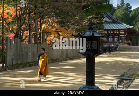 Old cedar trees tower shade this sacred area of Okunoin where many ...