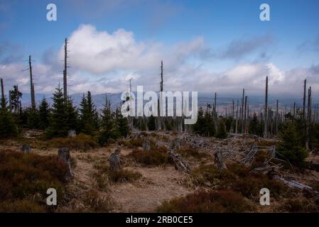 Northern view from Mount Rachel: Storms and acid rain have damaged ...