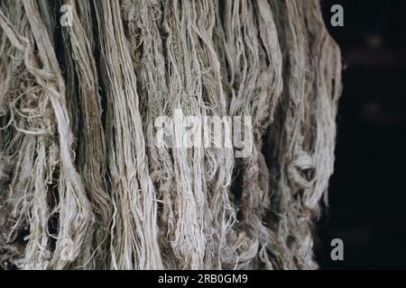 Pineapple fibers made from leaves of pineapple plant from Southern ...