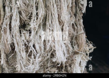 Pineapple fibers made from leaves of pineapple plant from Southern ...