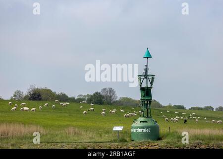 The starboard navigation sign at the entrance to the port of ...