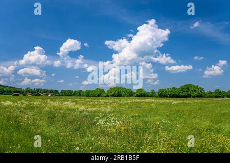Mangfall river near Rosenheim Upper Bavaria Germany Stock Photo - Alamy