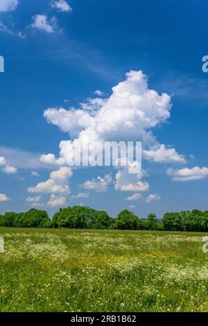 Germany, Bavaria, County Rosenheim, Feldkirchen-Westerham, District ...