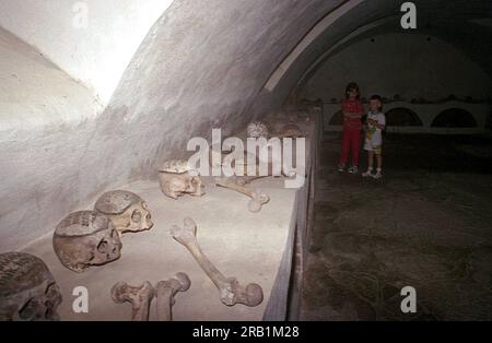 Old human skeleton exhumed from ancient grave. Archeology Stock Photo ...
