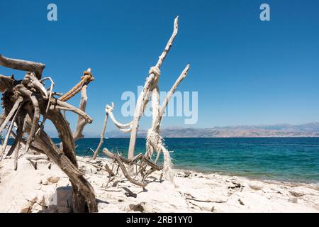 Tree branches forming artistic figures in the north-east cape of Corfu ...