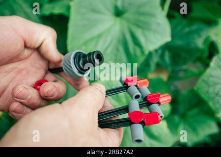 Drip irrigation.Equipment for gardens and orchards. Drip hose and ...