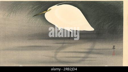 Ohara Koson – White Egret on a Tree Branch (Witte reiger op boomtak ...