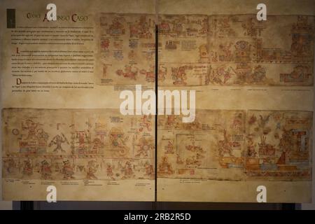 Images of Alfonso Caso Codex, the life of 8 Venado, Cultures Museum ...