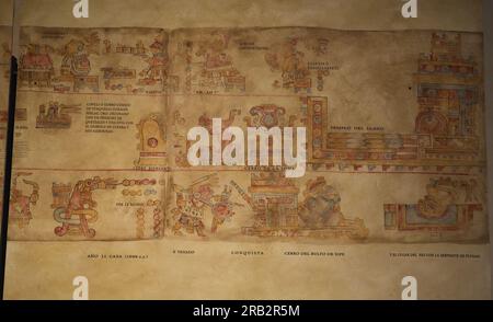 Images of Alfonso Caso Codex, the life of 8 Venado, Cultures Museum ...
