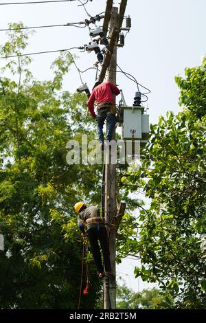 worker install a three-phase current transformer with crane on the ...