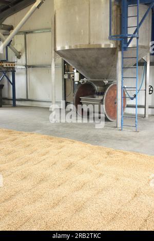 The malting floor at the Kilchoman distillery on Islay Stock Photo - Alamy