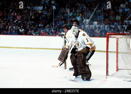 Boston Bruins goalie Gilles Gilbert (1) and teammate Wayne Cashman ...