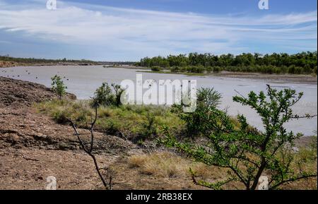 Scenic view of the Albert River, Burketown, Gulf of Carpentaria ...