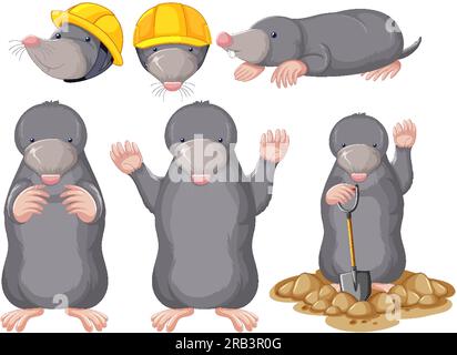 Set of mole cartoon character with head and facial expression ...