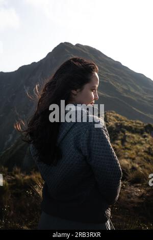 Tree in the field, sunset shot Stock Photo - Alamy