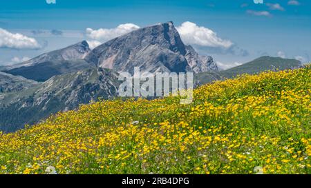 Beautiful mountain landscape at the Plätzwiese / Prato Piazza in the ...