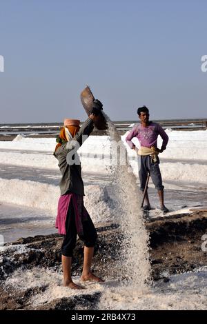 Salt flats in Rann of Kutch with people harvesting salt, Rann of Kutch ...