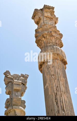 Asia, Iran, Persepolis, Archaeological site Stock Photo - Alamy
