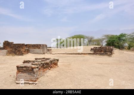 Gujarat. Lothal. ruins of ancient city. Lothal Indus Valley Civilization Stock Photo - Alamy