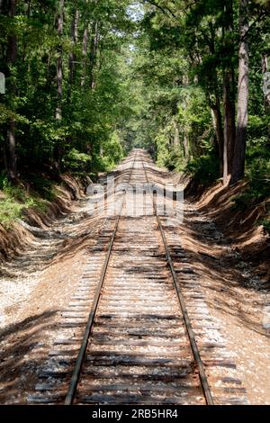 Railroad tracks through a forest in York County, Pennsylvania Stock ...