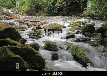 River Erme, Ivybridge, Devon Stock Photo - Alamy