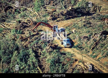 Aerial image of logging Oregon, USA Stock Photo - Alamy