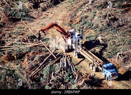 Aerial image of logging Oregon, USA Stock Photo - Alamy