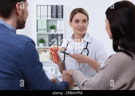 Fertility doctor demonstrating model of female reproductive system to ...