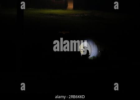 French soldiers with 6th Light Armored Brigade, French Army, train for ...