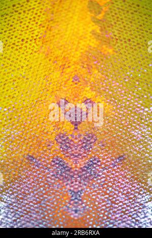 Double acrylic watercolor design smear color painting on canvas ...