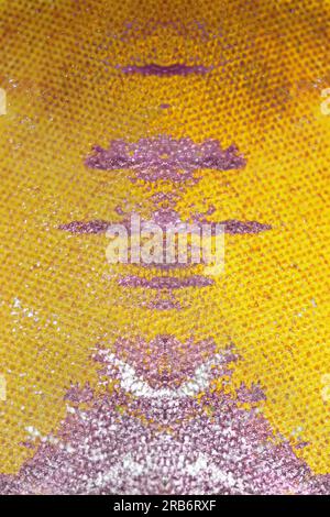 Double acrylic watercolor design smear color painting on canvas ...