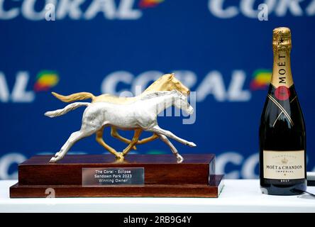 A general view of the Coral Eclipse trophy at Sandown Park Racecourse ...