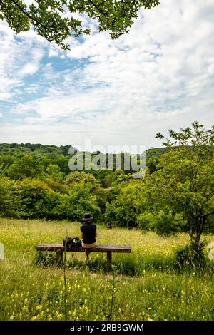Environmentally important open space landscape in the Surrey Hills Area ...
