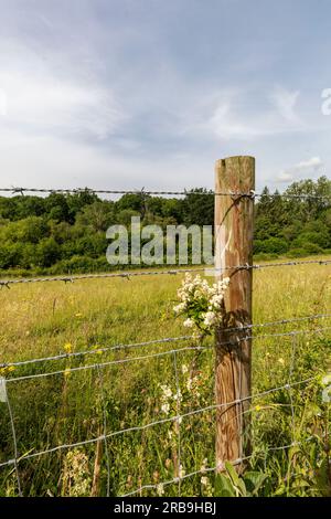 Environmentally important open space landscape in the Surrey Hills Area ...