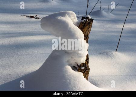 A crooked snowdrift of snow stuck to a stump from a tree, winter ...