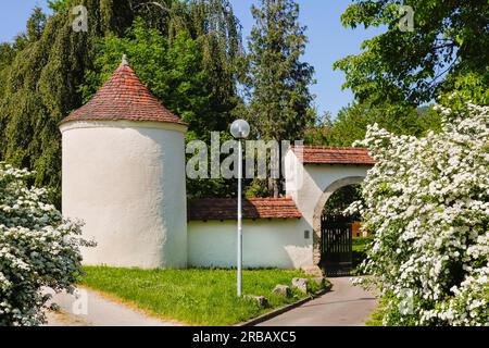 Stauffenberg Castle, Jehle Music History Collection, Stauffenberg ...