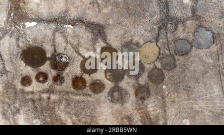 Aerial of crater lake mounds on lake Tengiz, Korgalzhyn Nature Reserve ...
