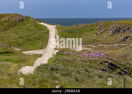 Beach and coast, Traeth Llanddwyn, Llanfairpwllgwyngyll, Great Britain ...