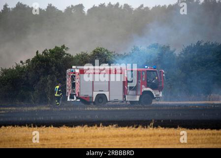 Field fire, fire brigade, extinguishing work, Gerwisch, Saxony-Anhalt ...
