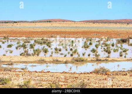 View of flooded Australian Outback, Queensland, QLD, Australia Stock ...