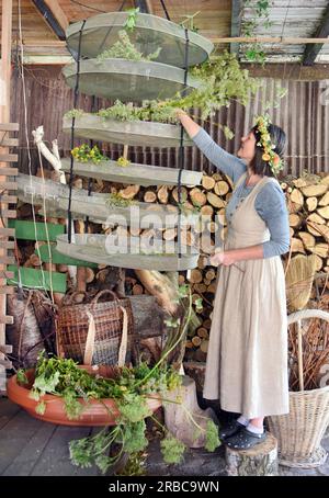 PRODUCTION - 28 June 2023, Saxony, Falkenhain: At Kräuterhof Falkenhain ...