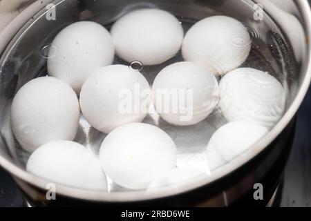 Buoyancy experiment. Fresh egg floating in salt water (salt at lower ...