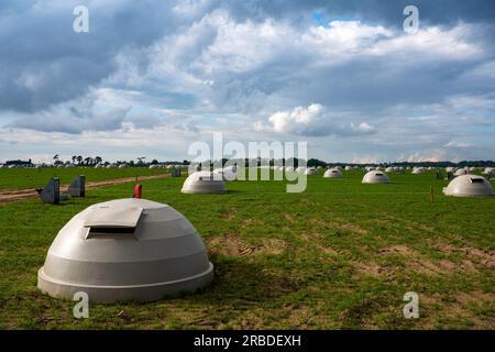Outdoor pig rearing pens Stock Photo - Alamy