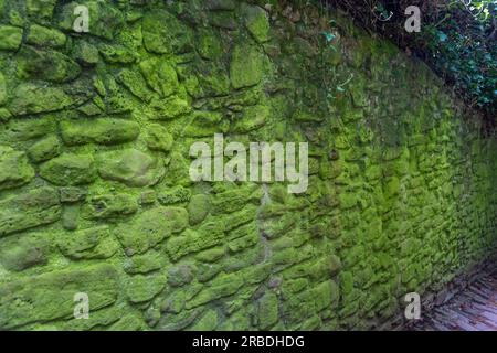 Germany, Philosopher Walk in Heidelberg city or Philosophenweg. Stone ...