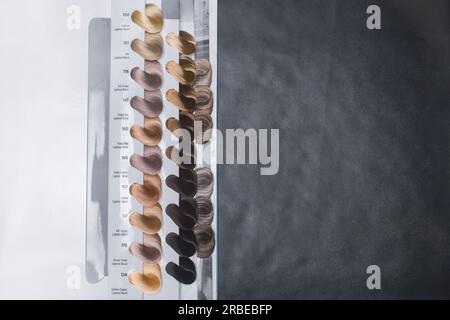 Miscellaneous various samples color palette dye coloring hair shade ...