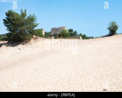 Sand dunes in Zahorie, Slovakia Stock Photo - Alamy