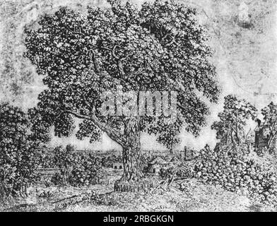 Hercules Seghers' painting 'The Great Tree' showcases a stunning ...