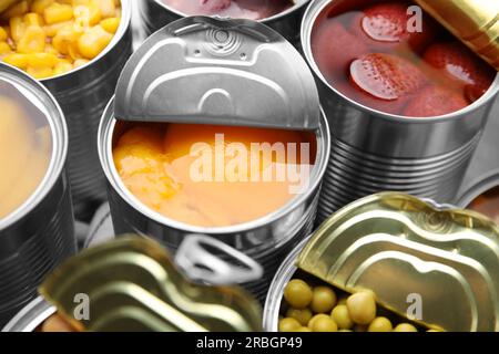 Different open tin cans with canned fish among spices and herbs banner ...