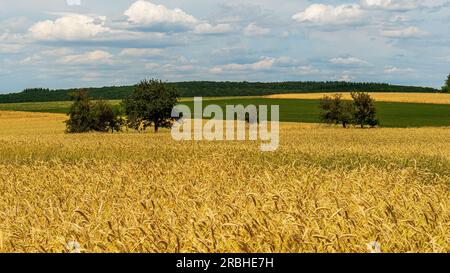 Countryside Landscape fotographie Stock Photo - Alamy