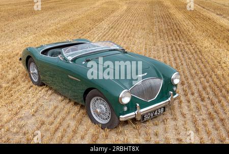 1950's Austin Healey 100/4 Stock Photo - Alamy